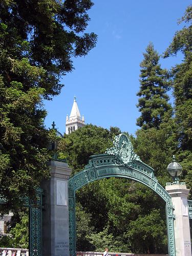 Ravelry: Berkeley pattern by Denise Lotter