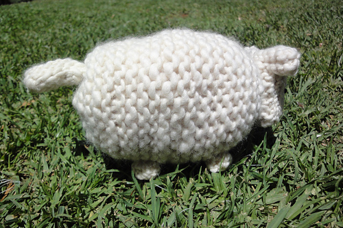 Ravelry: Merino Sheep pattern by Dana Biddle