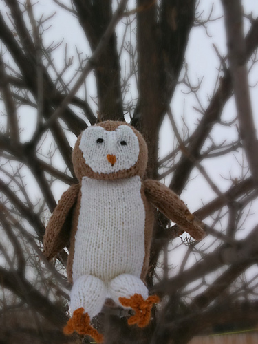 Ravelry: Barn Owl pattern by Cassidy Clark