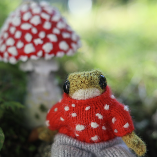 Ravelry: Frog and Toad pattern by Claire Garland