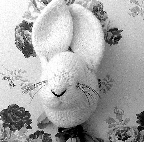 Ravelry: white rabbit trophy pattern by Claire Garland