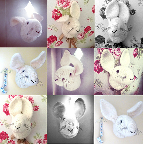 Ravelry: white rabbit trophy pattern by Claire Garland