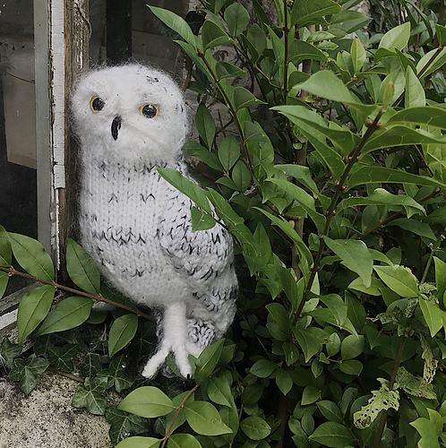 Ravelry: Snowy Owl pattern by Claire Garland