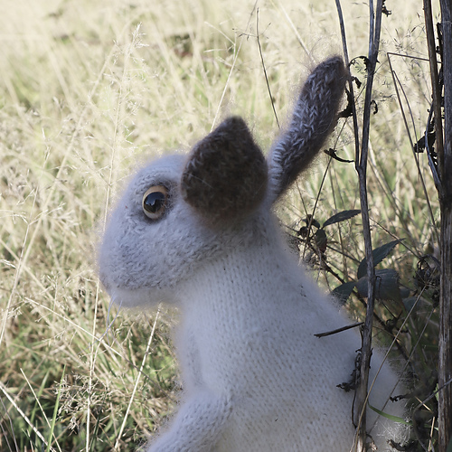 Ravelry: Snowshoe Hare pattern by Claire Garland