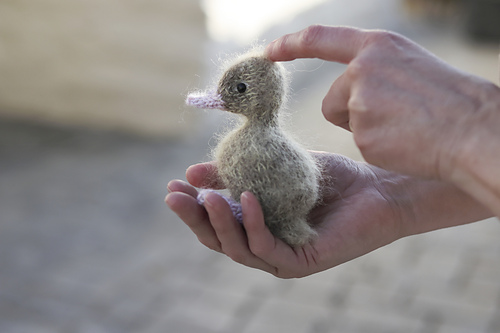 Ravelry: Lucky Duckling pattern by Claire Garland