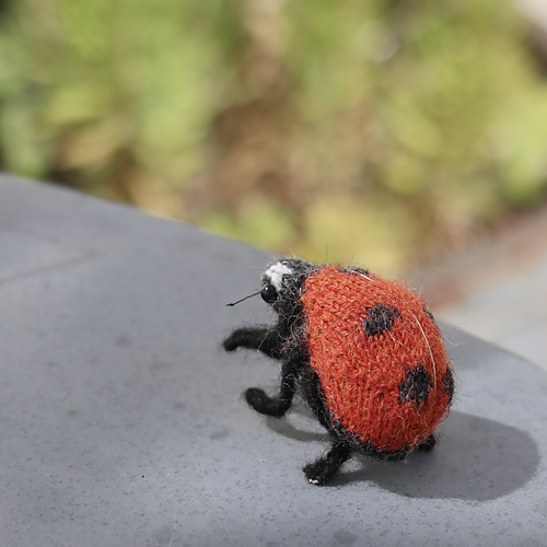 Ravelry: Ladybird Ladybug pattern by Claire Garland