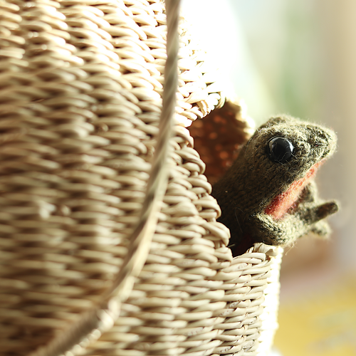 Ravelry: Newt pattern by Claire Garland