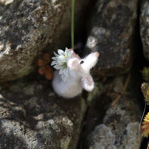 Ravelry: White Mouse pattern by Claire Garland