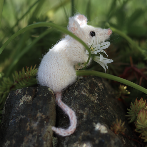 Ravelry: White Mouse pattern by Claire Garland