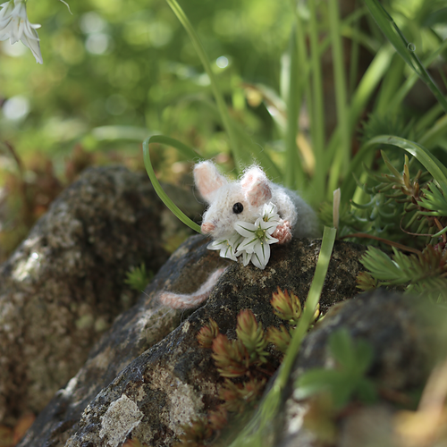 Ravelry: White Mouse pattern by Claire Garland