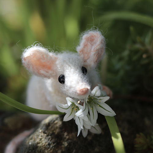 Ravelry: White Mouse pattern by Claire Garland