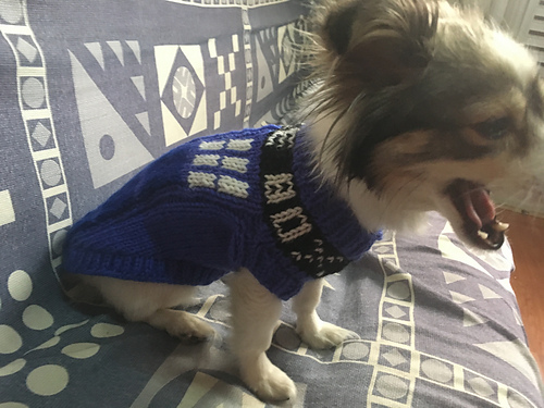 Ravelry: TARDIS Dog Costume pattern by Cináed Langley