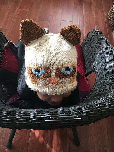 Ravelry: Grumpy Hat - Hat with Tardar Sauce, the Grumpy Cat's face ...