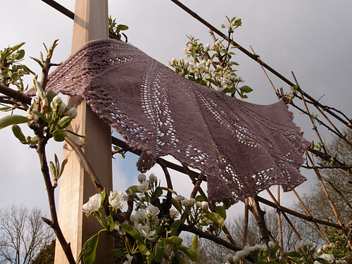 Ravelry: Rejoice Shawl pattern by KnitJoyz