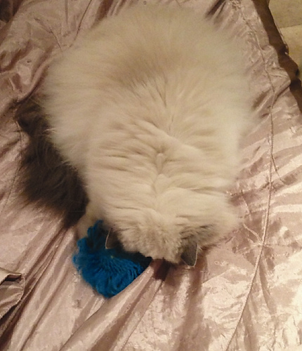 Ravelry: Squibble Cat Toy pattern by Esh Crochet