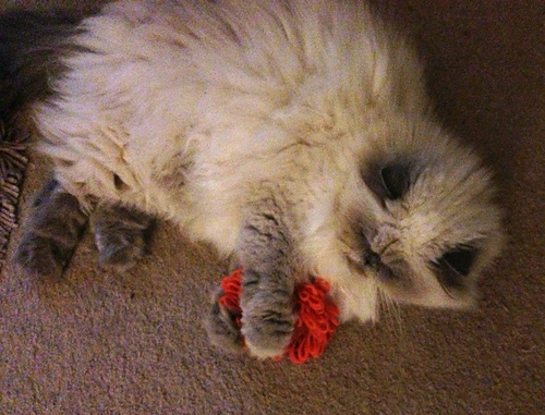 Ravelry: Squibble Cat Toy pattern by Esh Crochet