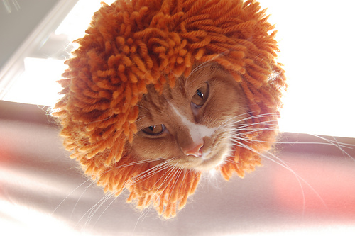 Ravelry: Cat's Mane pattern by Mer Almagro
