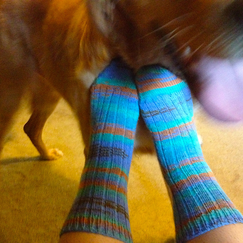 Ravelry: A Nice Ribbed Sock pattern by Glenna C.