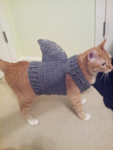 Ravelry: Shark Outfit for Cats pattern by Emily Sink