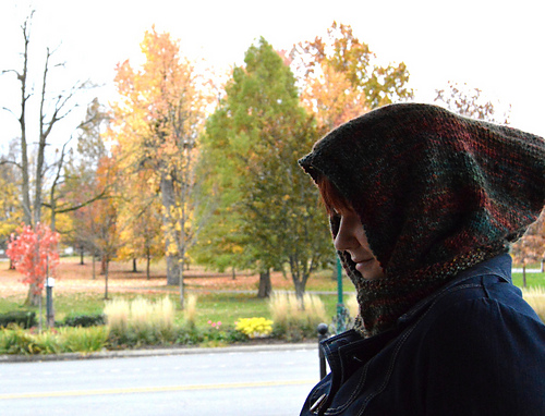 Ravelry: Hoodwinked pattern by David Broughton