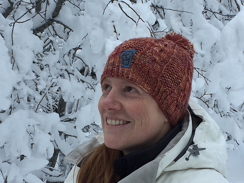 Ravelry: The Seeds of Winter Hat pattern by Sarah Luse