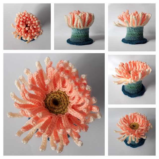 Ravelry: Sea Anemone pattern by Vicky Phillips