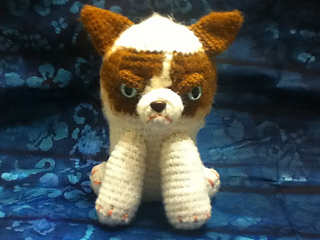 Ravelry: ferretlady's Grumpy Cat