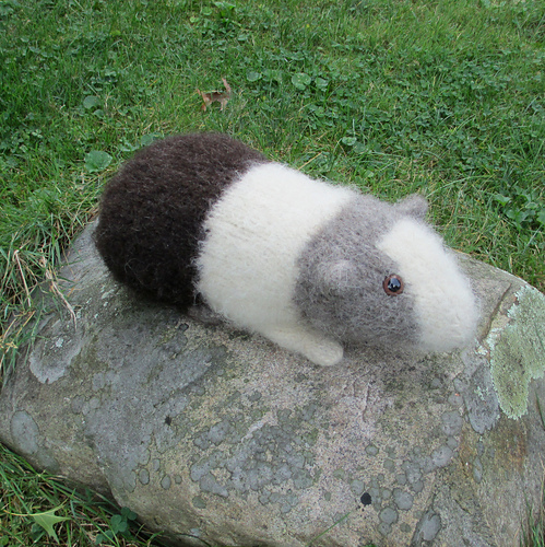 Ravelry: Felted Guinea Pig pattern by Frances Gillespie