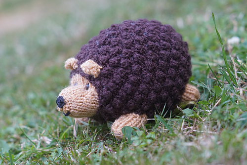 Ravelry: Knitted Hedgehog pattern by Frederica Patmore