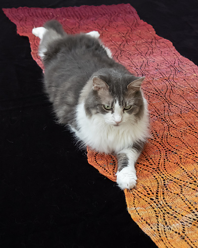 Ravelry: Tulips of Kelmscott Stole pattern by Denise Bartels