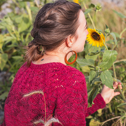 Ravelry: Arborescent Sweater pattern by Gabrielle Vézina