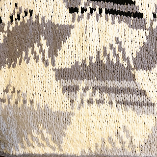 Ravelry: Spiny Fish Tessellation pattern by Geanie Choy