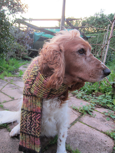 Ravelry: Pleats pattern by Kieran Foley