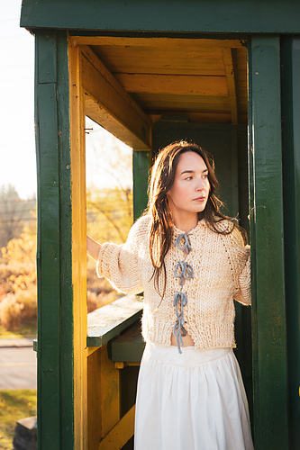 Ravelry: Ahmic Cardigan pattern by Tara-Lynn Morrison