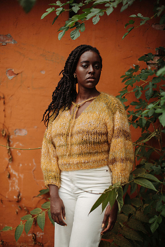 Ravelry: Dryden Sweater & Vest pattern by Tara-Lynn Morrison