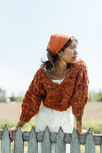 Ravelry: Dryden Sweater & Vest pattern by Tara-Lynn Morrison