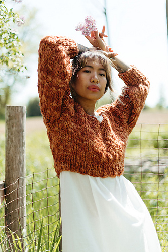Ravelry: Dryden Sweater & Vest pattern by Tara-Lynn Morrison