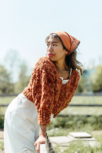 Ravelry: Dryden Sweater & Vest pattern by Tara-Lynn Morrison