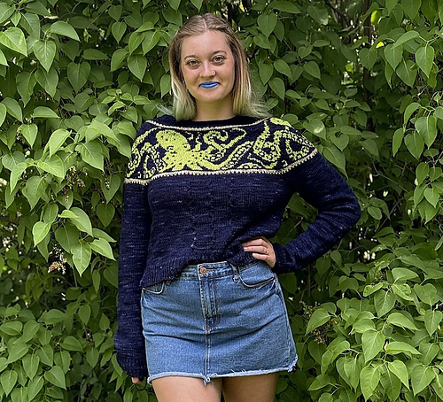 Ravelry: The Octopus Pullover pattern by Lizabeth Towers