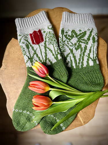 Ravelry: Lenz Socks pattern by greenermakes