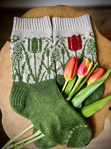 Ravelry: Lenz Socks pattern by greenermakes