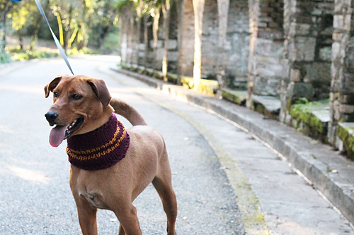 Ravelry: Gryffindor Dog Cowl pattern by Louise Bollanos