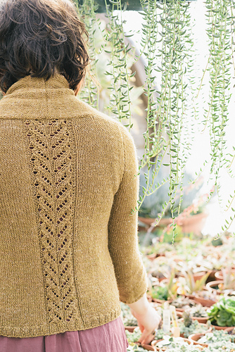 Ravelry: Marigold Cardigan pattern by Cecily Glowik MacDonald