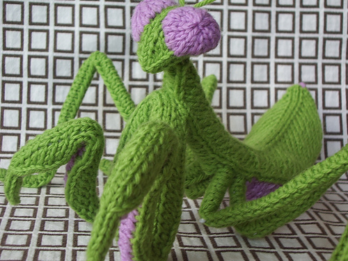 Ravelry: Praying Mantis pattern by Hansi Singh
