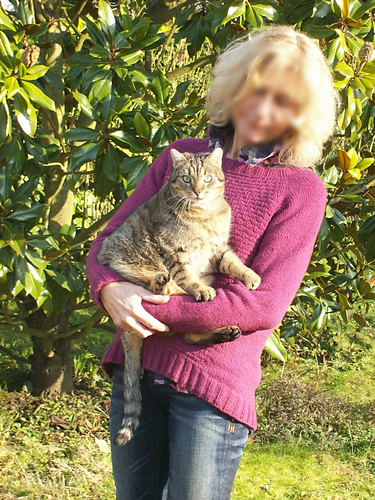 Ravelry: Hash Marks pattern by Hinterm Stein