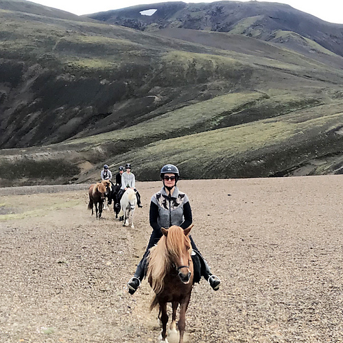 Ravelry: Hestur Vest pattern by Hélène Magnússon
