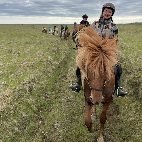 Ravelry: Hestur Vest pattern by Hélène Magnússon