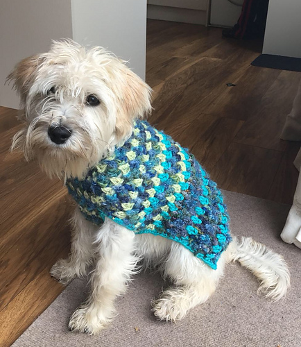 Ravelry: Well Dressed Dog Coat pattern by Tamara Kelly