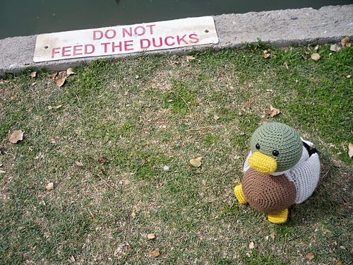 Ravelry: Drake the Mallard Duck pattern by Hollie Broadbent
