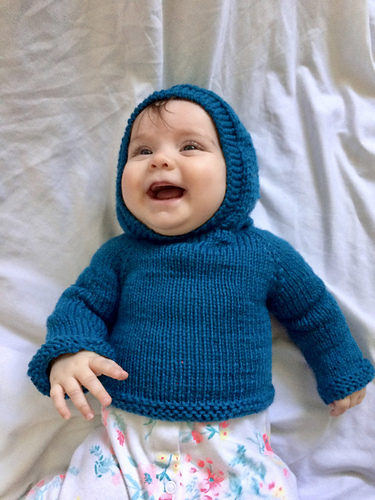 Ravelry: Wool Over Their Eyes pattern by Whitney Creath